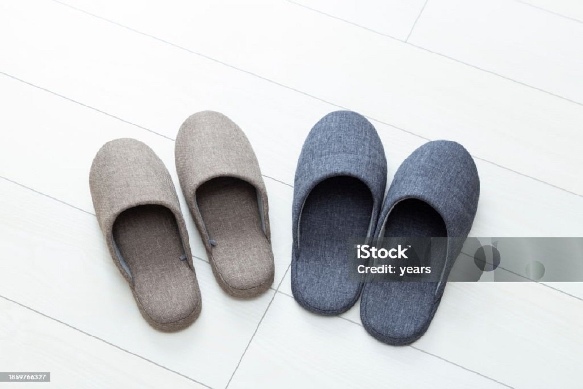 10 Types of Slipper and Their Differences